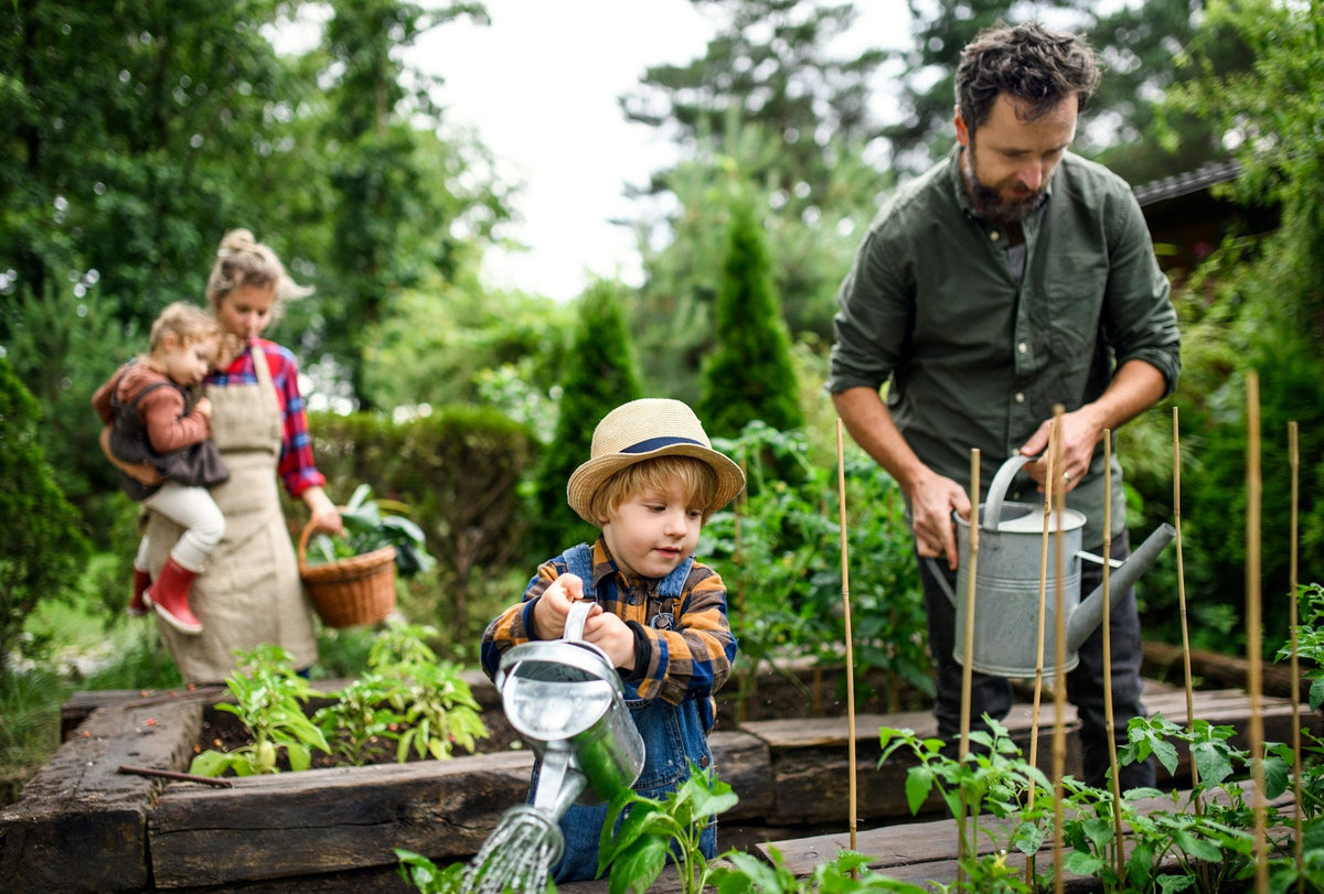 The Ultimate Guide to Regenerative Gardening – Echo Market